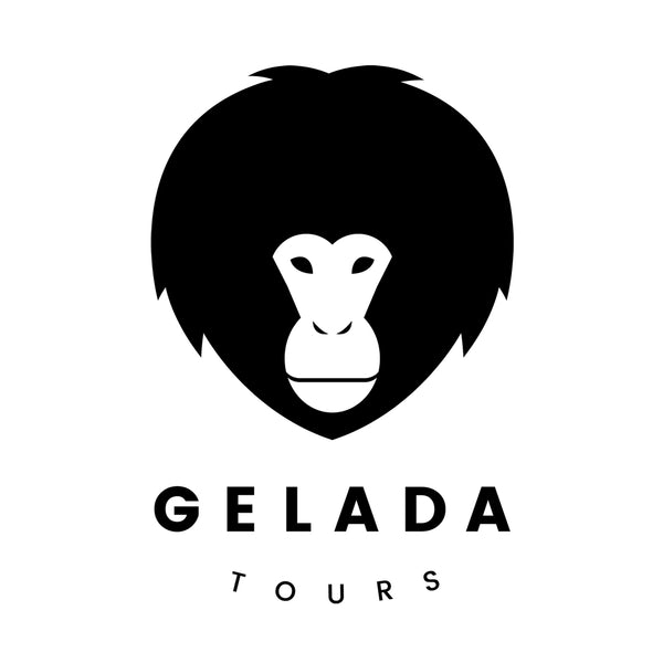 The Solar Series | Original Illustration Poster, Digital Print– Fly Gelada